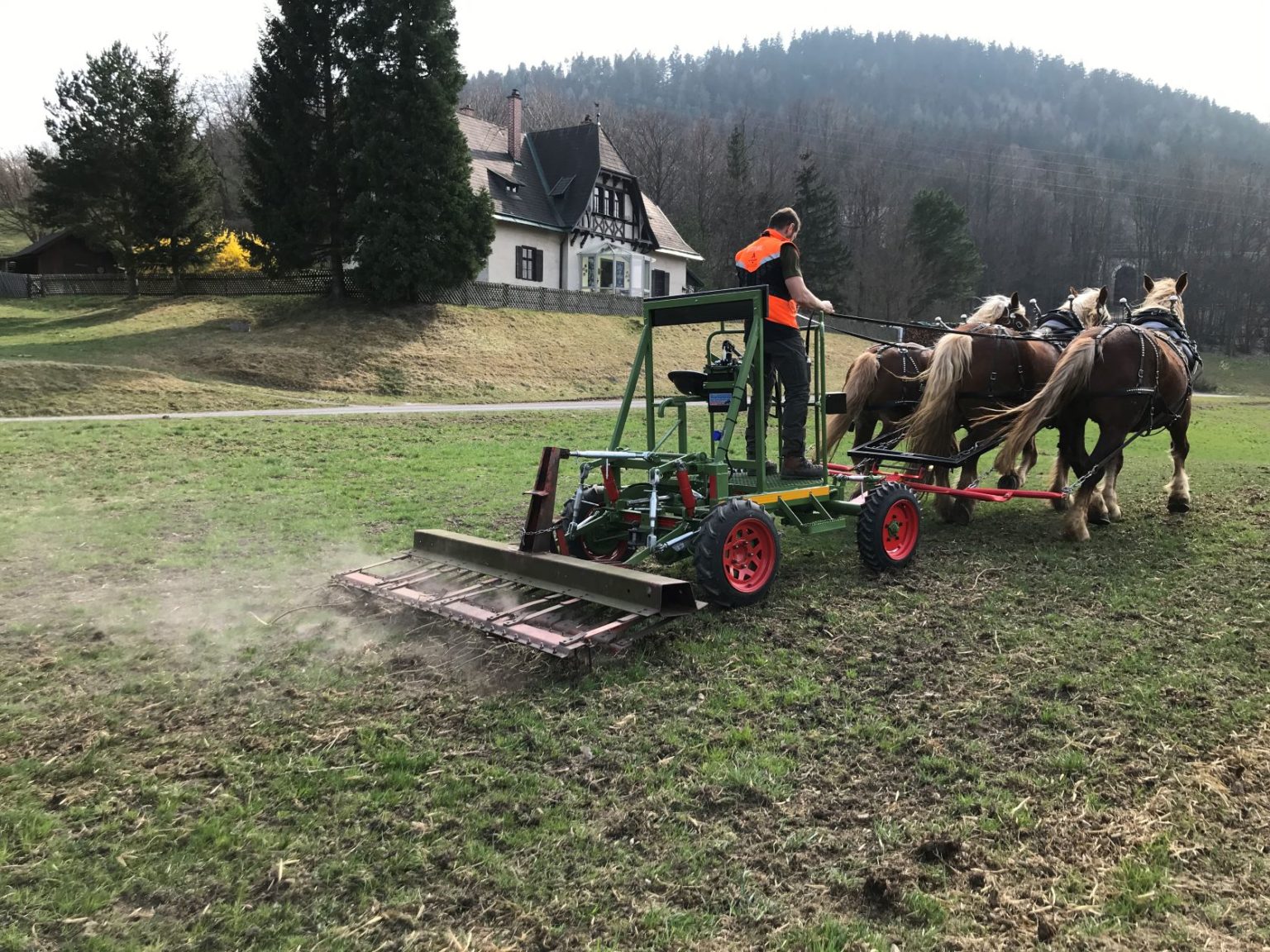 Grünlandwirtschaft mit Pferden - ein Bereich der ÖIPK Tätigkeiten