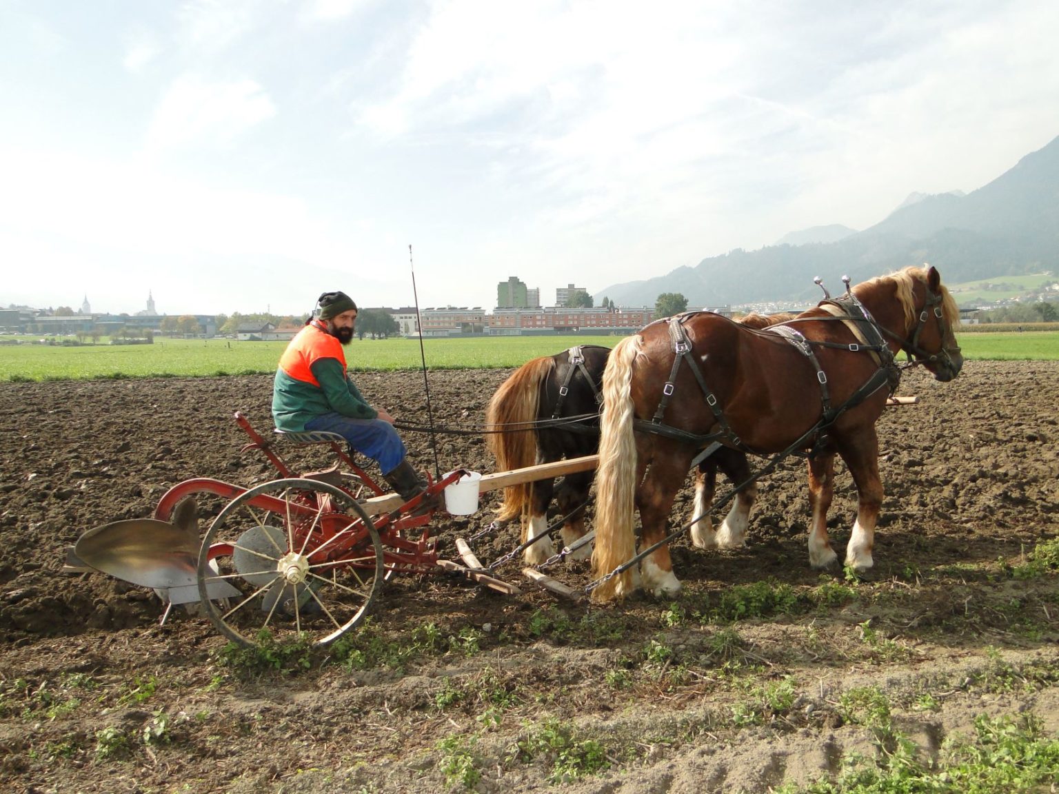 Ackerbau - ÖIPKFeldarbeit mit Pferden. Vom Pflügen bis zur Saat