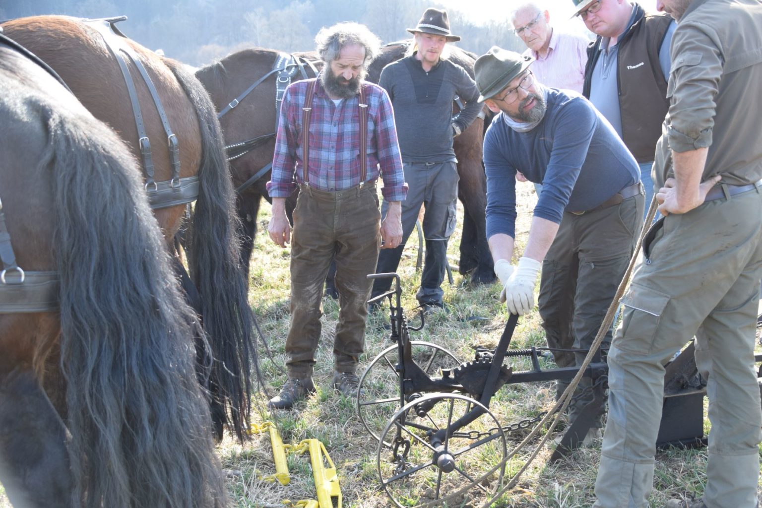 Ackerbau - ÖIPKFeldarbeit mit Pferden. Vom Pflügen bis zur Saat